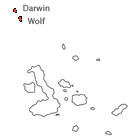 Ecuador Terra Incognita - nuestra fauna 65 - Pinzón vampiro